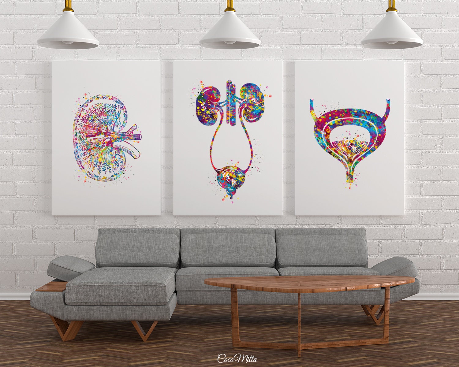 Urology Art Watercolor Print Set of 3 Office Clinic Urinary | Etsy