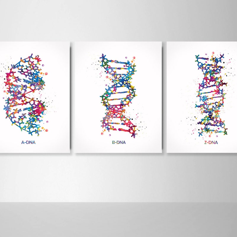 Dna Art - Etsy