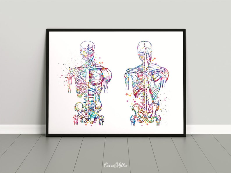 Muscular Art Watercolor Print Human Body Anatomy Art Medical | Etsy UK
