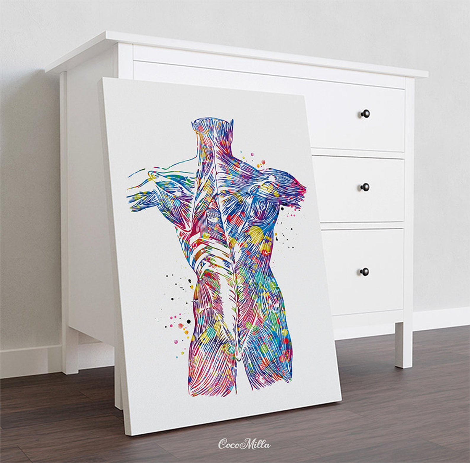 Muscles of Back Watercolor Print Human Anatomy Medical Art - Etsy