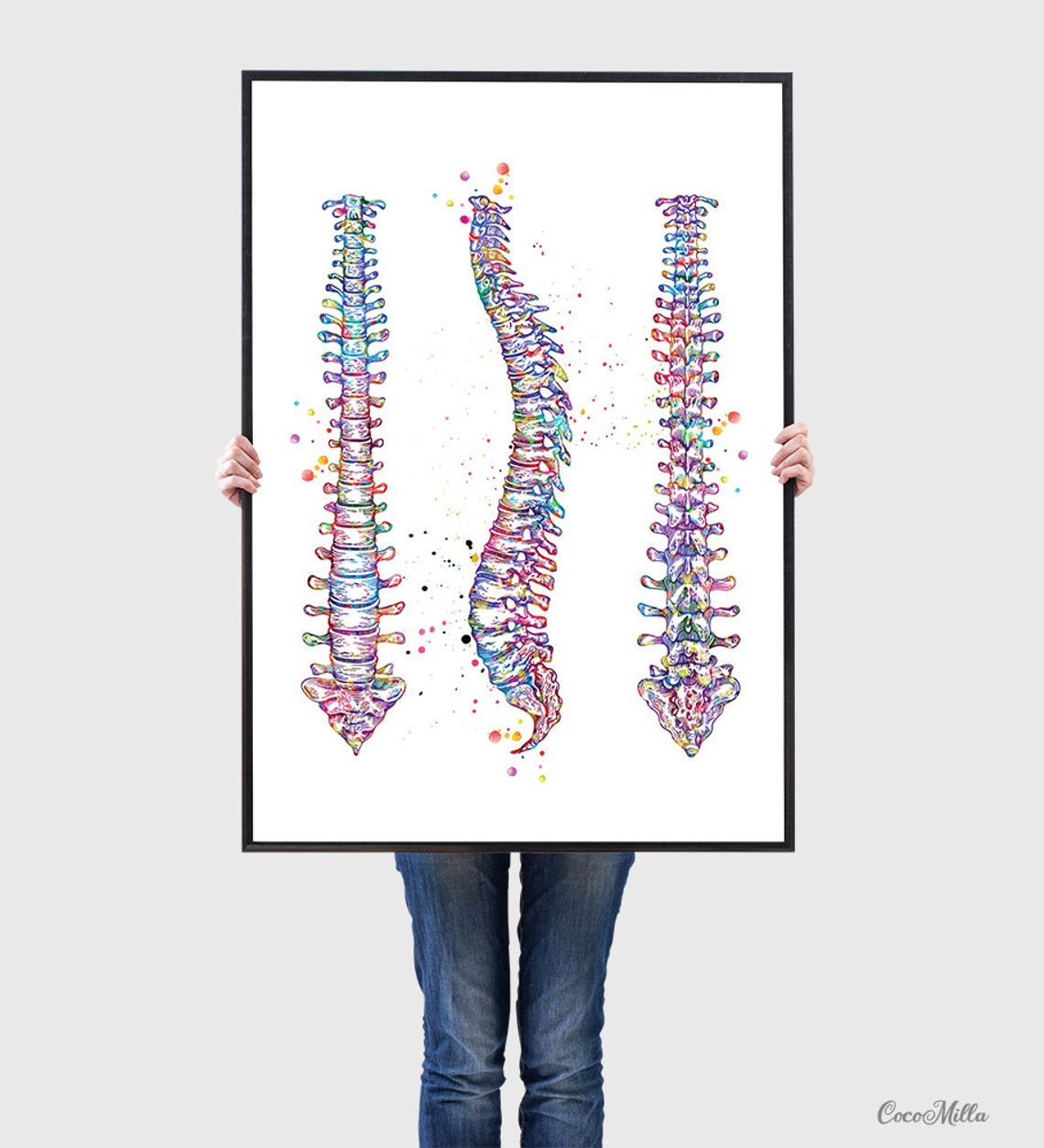 Spine Watercolor Print Human Spine Anatomy Art Medical Art | Etsy