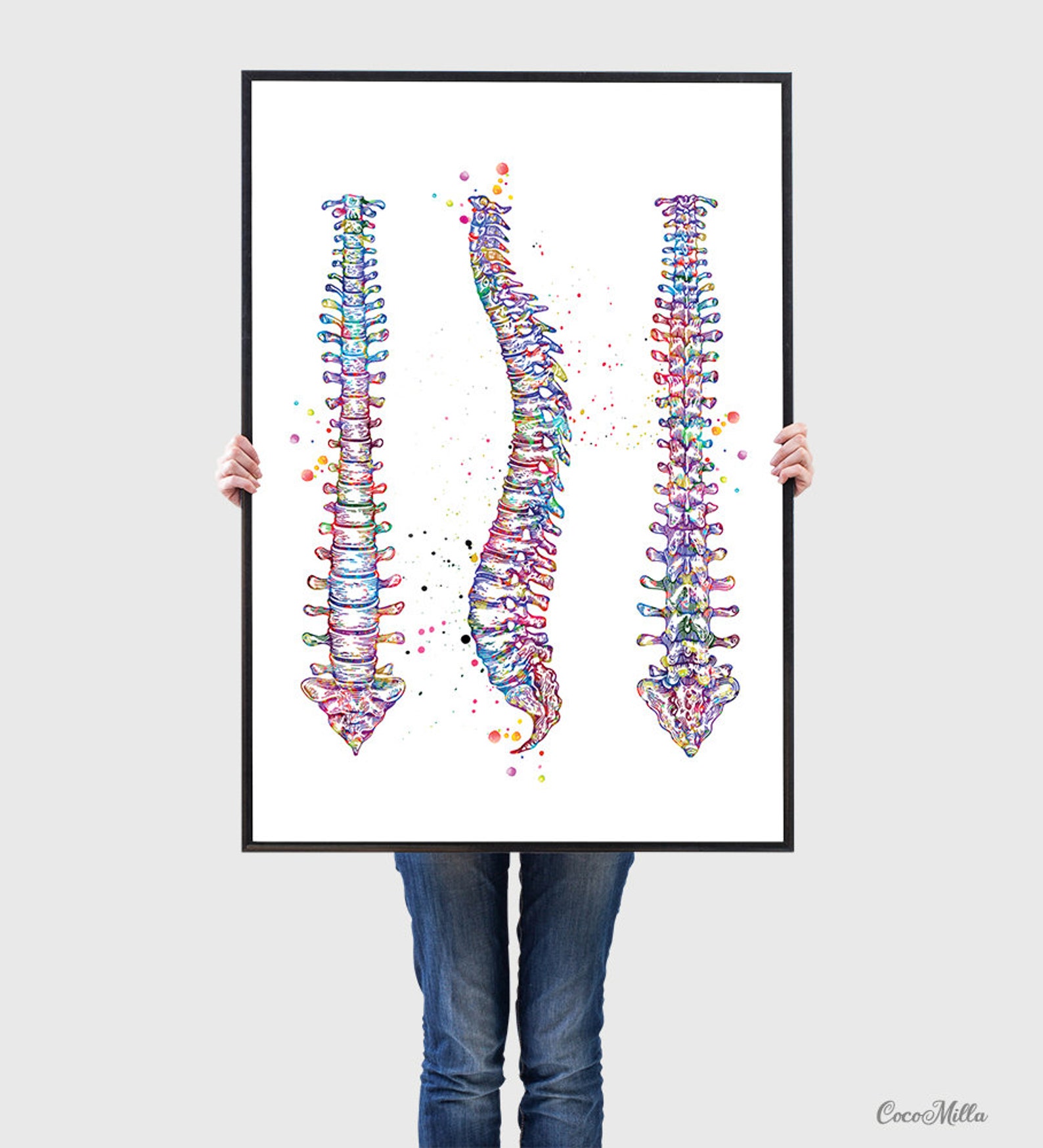 Spine Watercolor Print Human Spine Anatomy Art Medical Art - Etsy