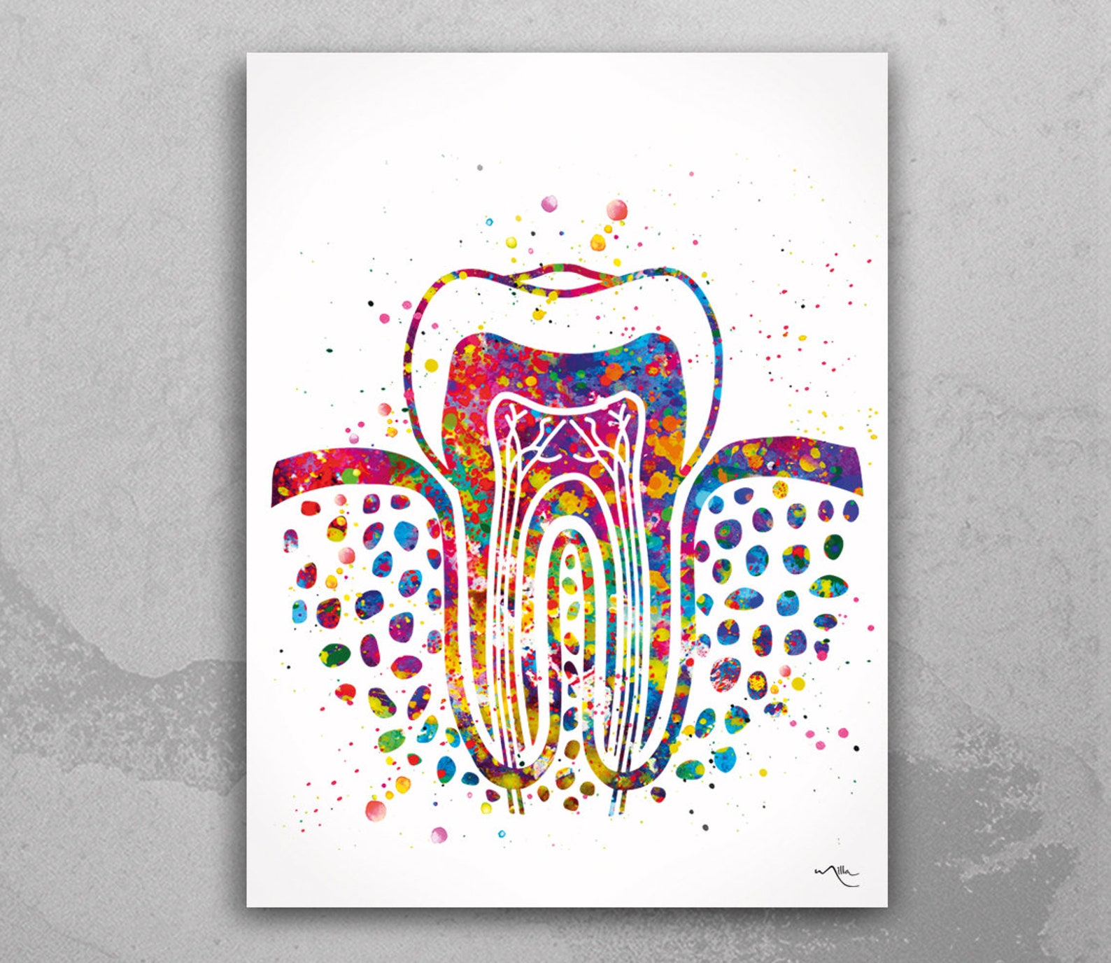 Molar Teeth Cross Section Watercolor Print Tooth Anatomical - Etsy