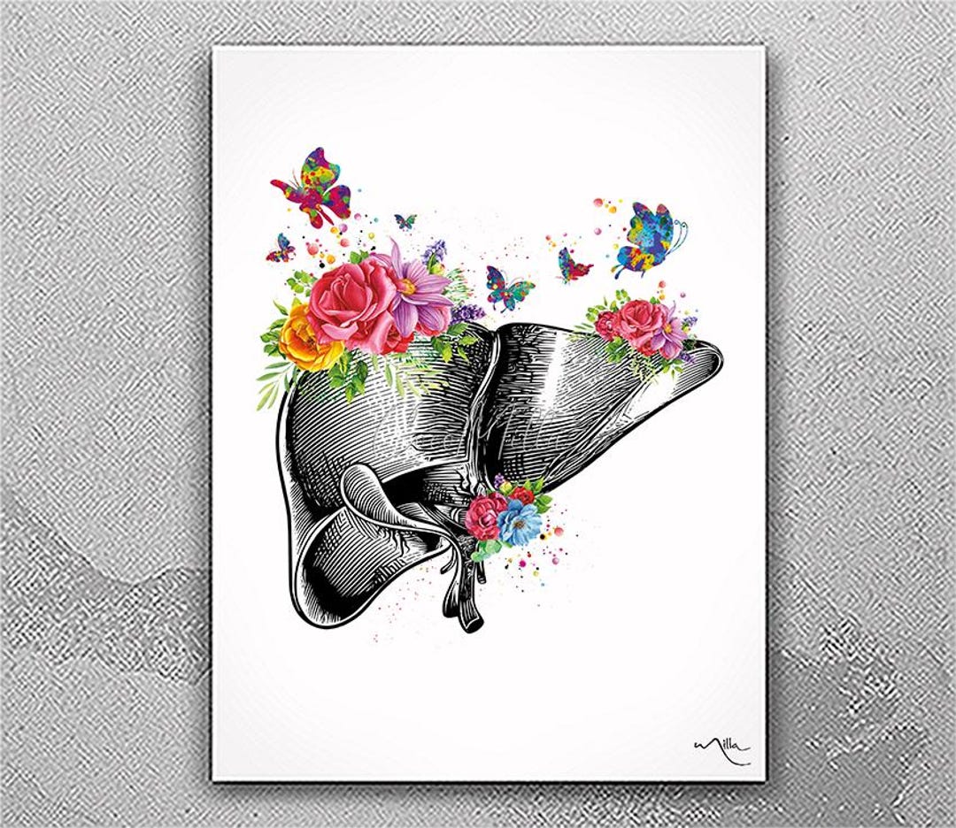 Floral Liver Anatomy Watercolor Print, Medical Art Poster-2933 - Etsy