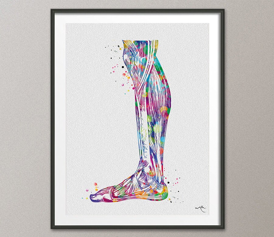 Human Leg Anatomy Watercolor Print Orthopedic Knee Ankle and | Etsy