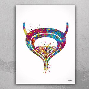 Urology Art Watercolor Print Set of 3 Office Clinic Urinary Tract Wall ...