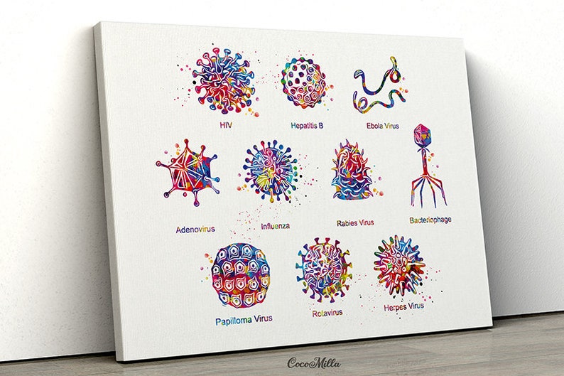 Viruses Diagram Watercolor Print Medical Art Wall Art - Etsy
