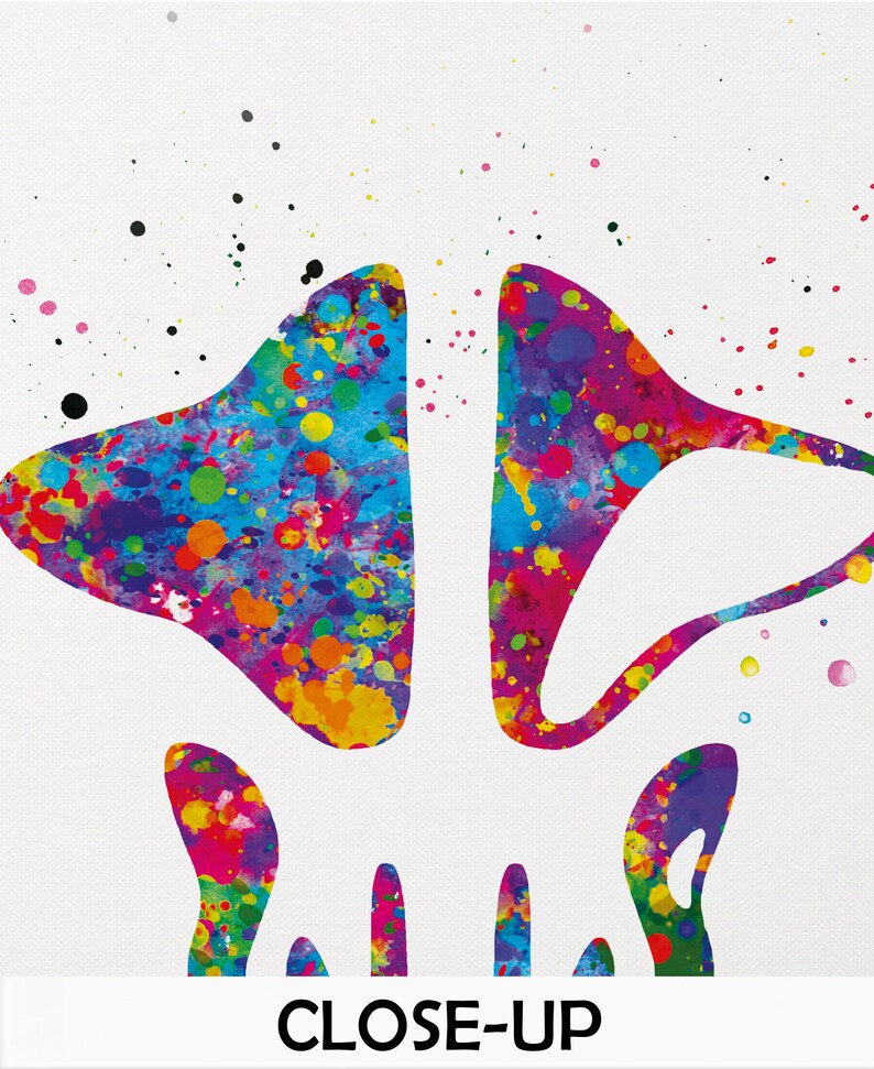 Paranasal Sinuses Watercolor Print ENT Doctor Sinusitis Clinic Medical ...