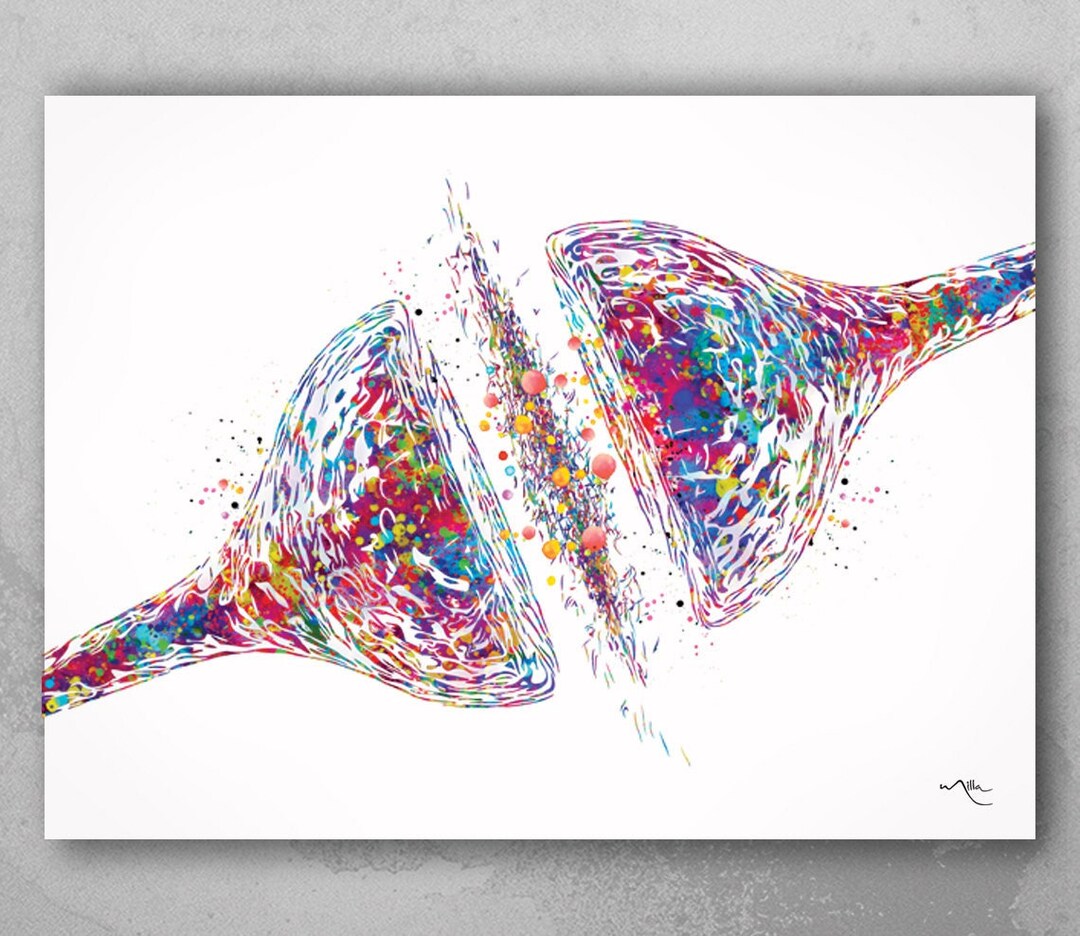Synapse Receptor Watercolor Print Science Poster Neurology Art ...