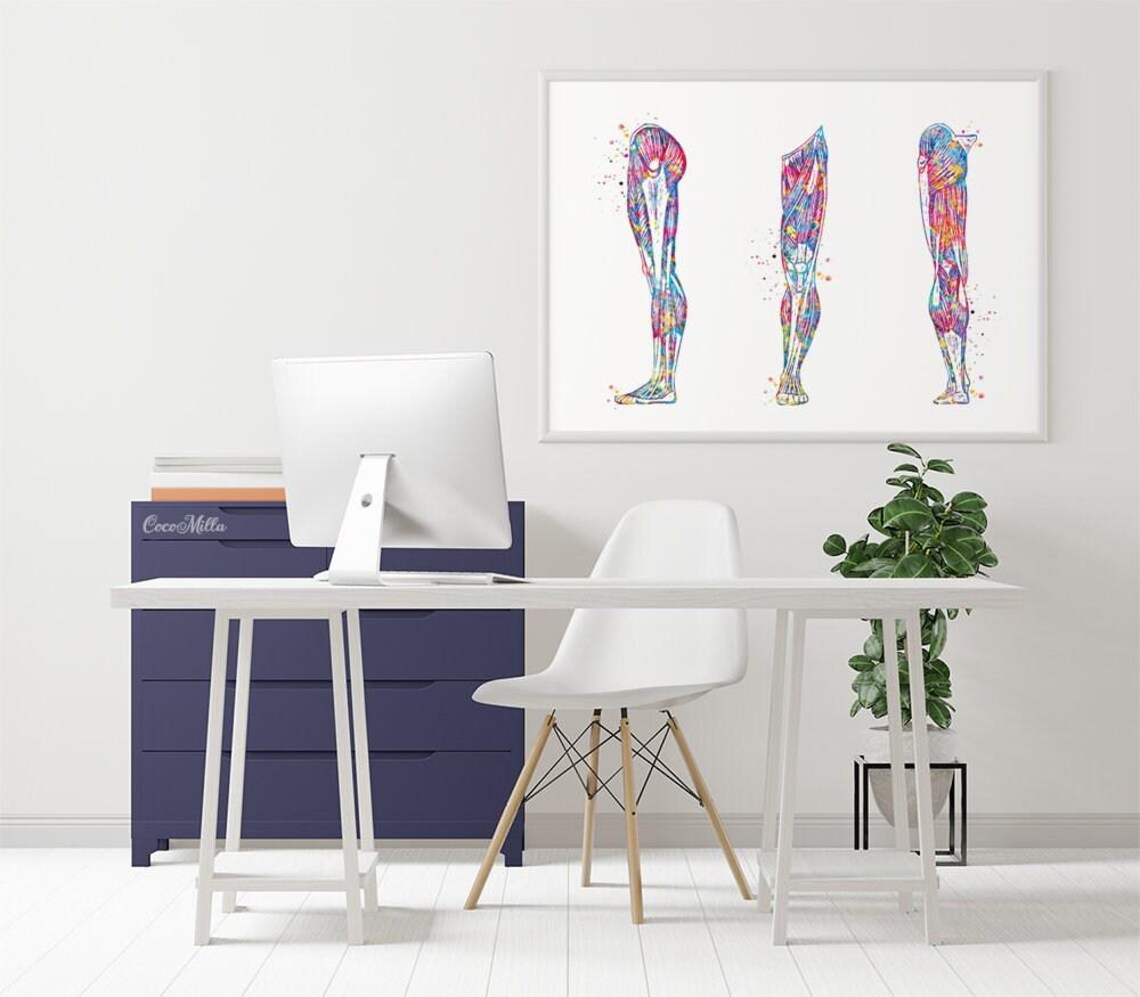 Leg Muscles Watercolor Print, Anatomy Art for Clinic Decor-2345 - Etsy