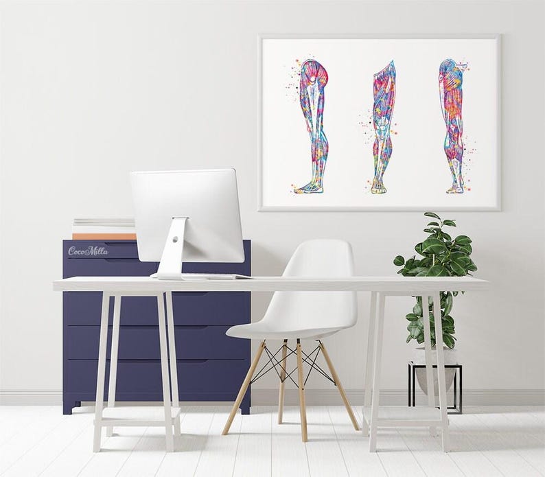 Leg Muscles Watercolor Print, Anatomy Art for Clinic Decor-2345 - Etsy
