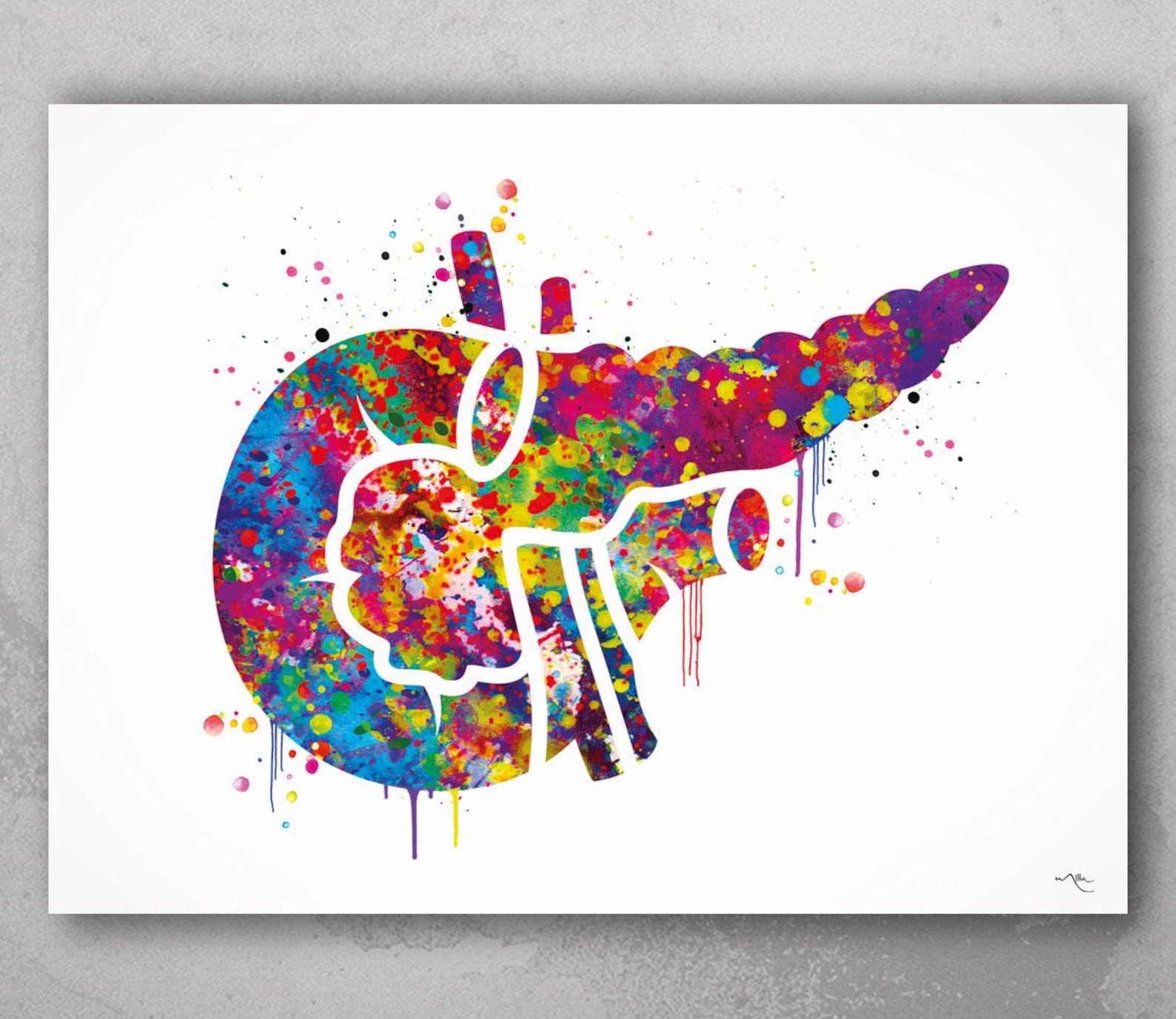 Pancreas Watercolor Art Print, Medical Anatomy Decor-719 - Etsy