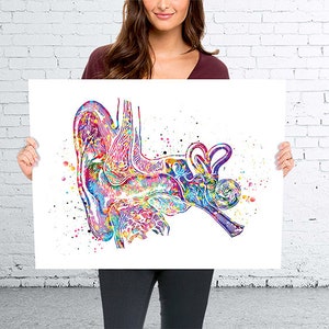 Ear Anatomy Watercolor Print, Audiologist Gift, Medical Art-1138 - Etsy