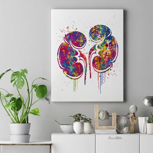 Kidneys Anatomy Watercolor Print Human Organs Gastrointestinal ...