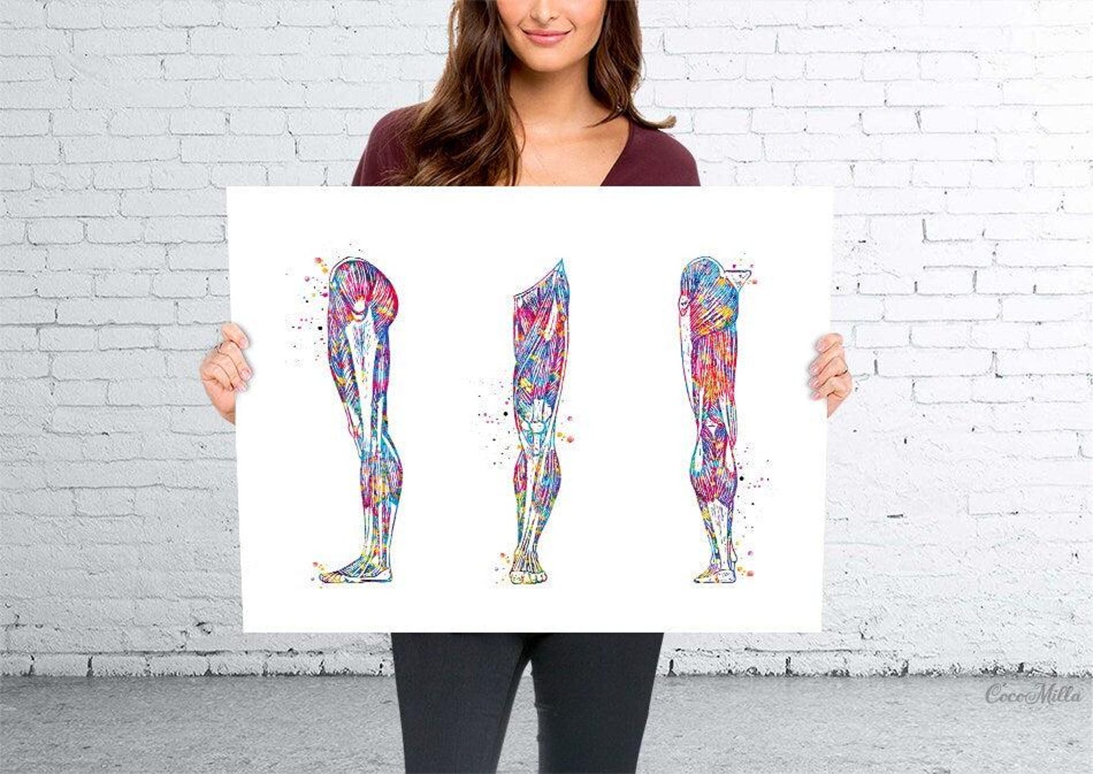 Leg Muscles Watercolor Print, Anatomy Art for Clinic Decor-2345 - Etsy