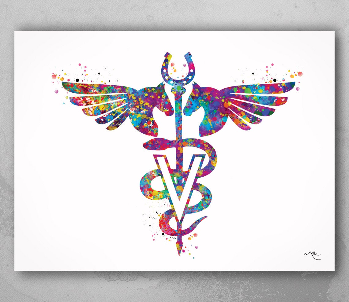 Veterinary Caduceus Watercolor Print Equestrian Gift Clinic | Etsy