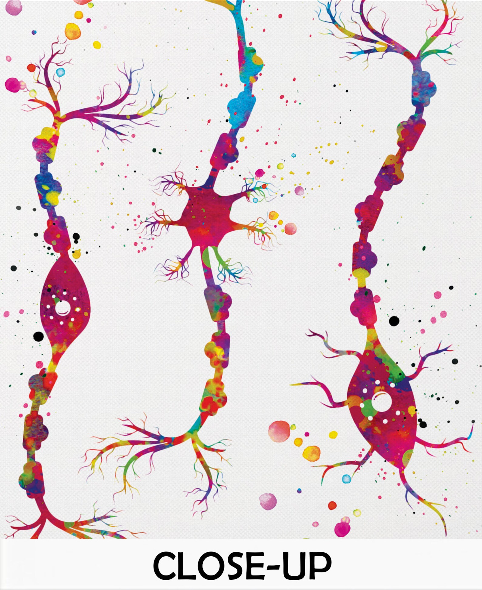 Neuron Types Art Watercolor Print Science Poster Neurology | Etsy