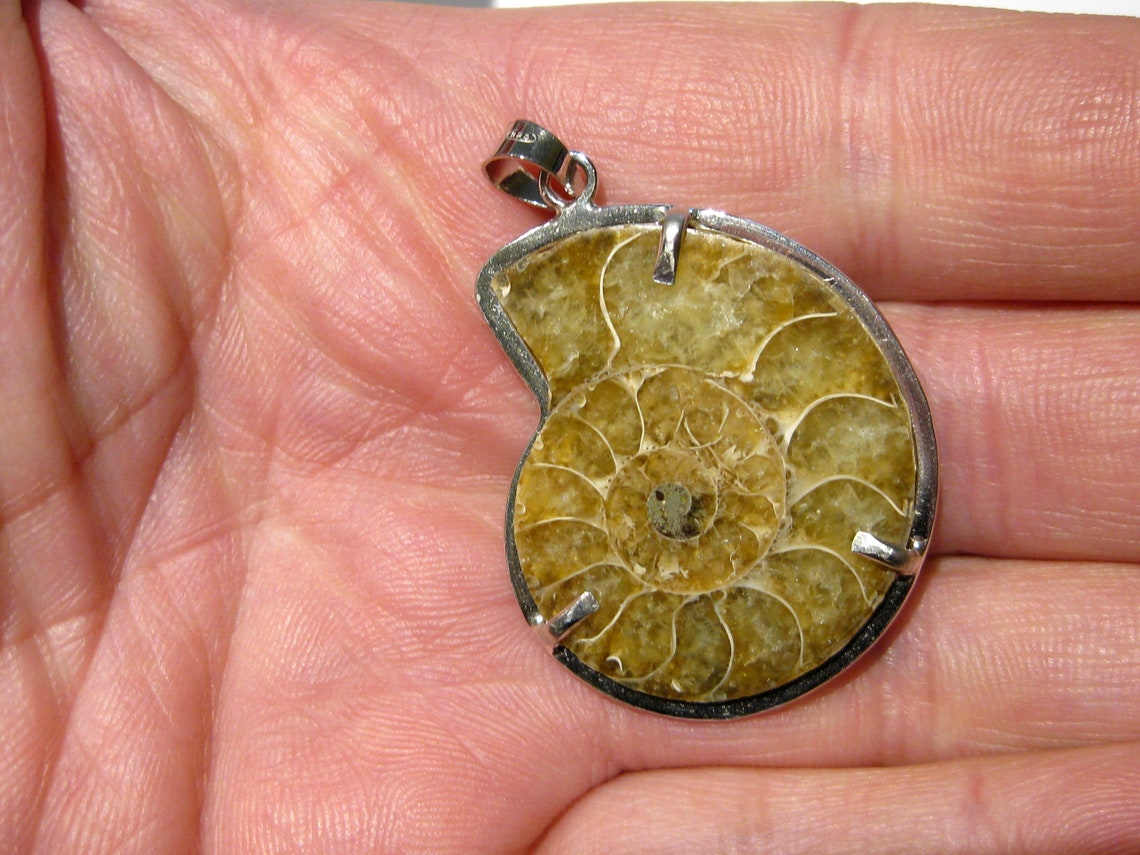 Ammonite Fossil Pendant Silver 925% - Etsy
