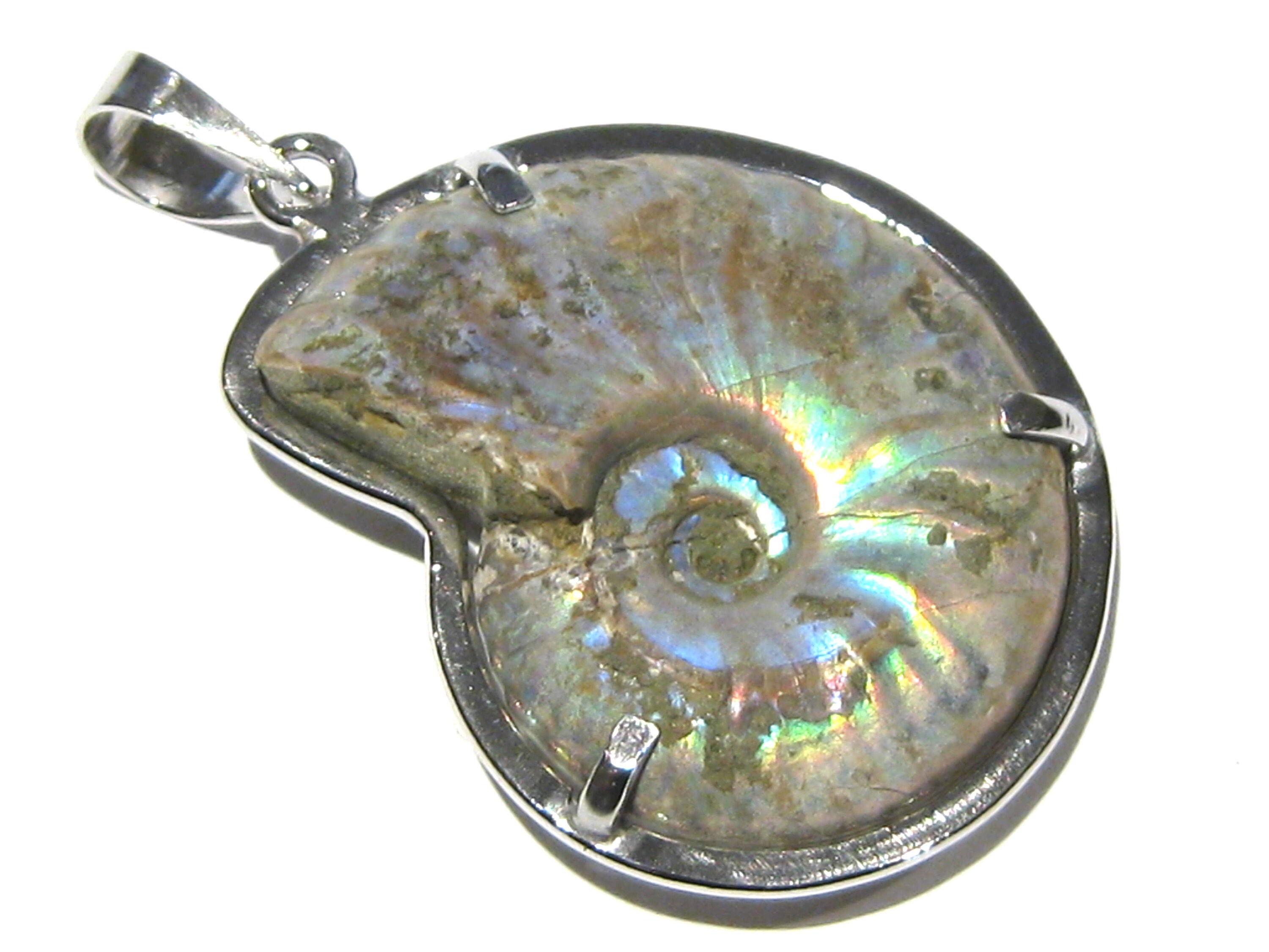 Ammonite pendant silver 925% | Etsy