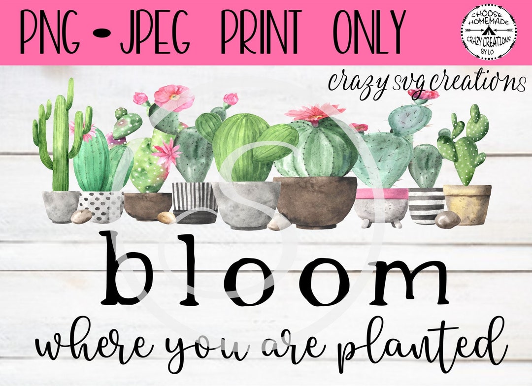 Bloom Where You Are Planted Watercolor Cactus Sublimation File ...
