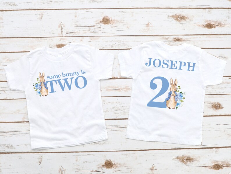 Peter Rabbit 2nd Birthday Boy Shirt Second Birthday Bunny - Etsy