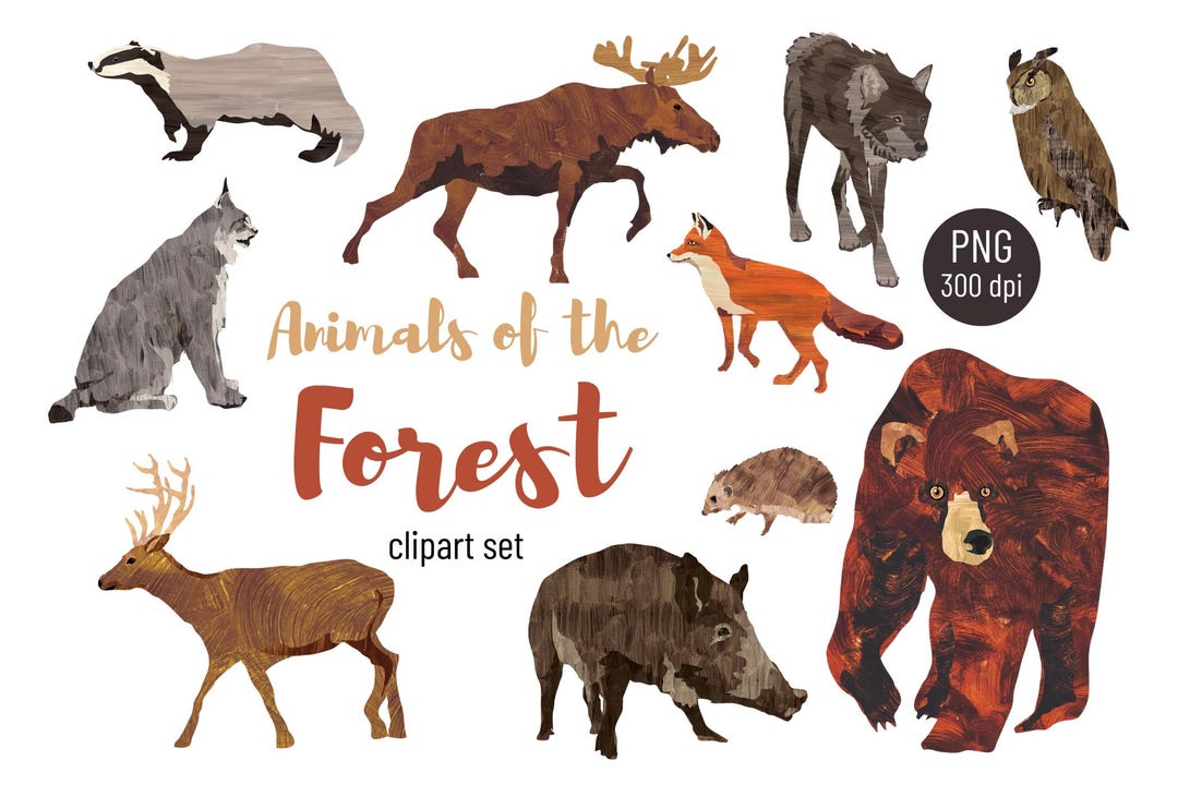 Forest Animals & Critters Clipart Set. Backgrounds, Nature Elements ...