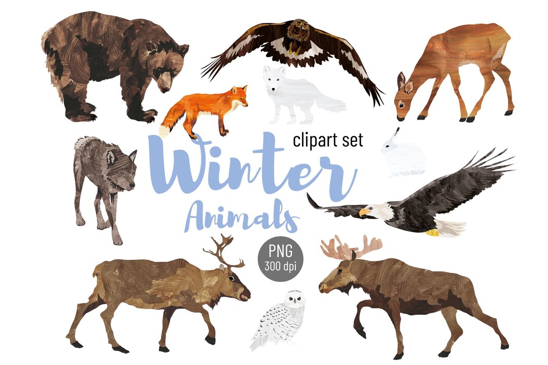 Winter Forest & Animals Clipart Set. Backgrounds, Nature Elements, and ...