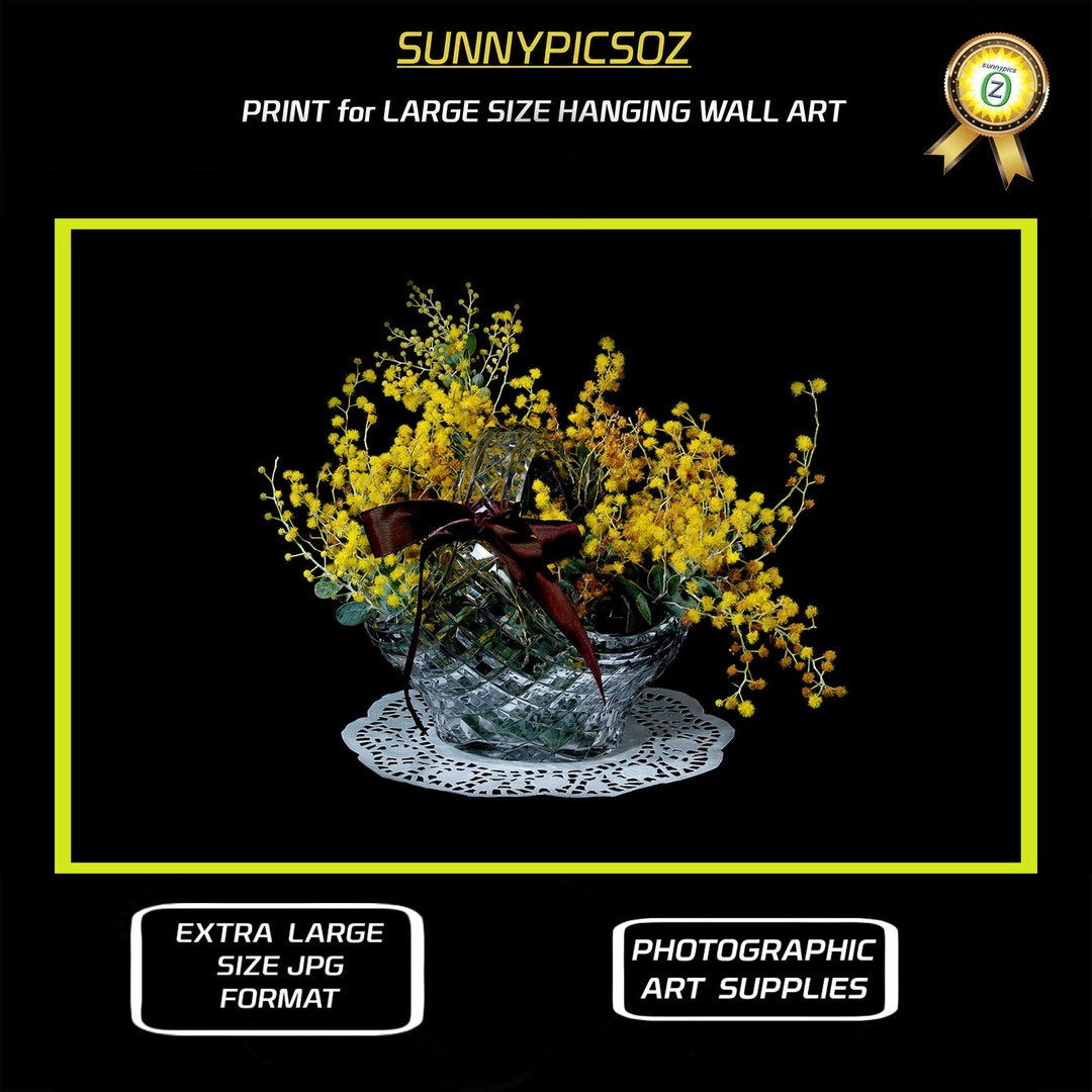 Wattle Flower Photo - JPG Extra Large Printable Instant Digital ...