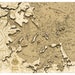 Boston Harbor Topographic Cork Decoration - Etsy