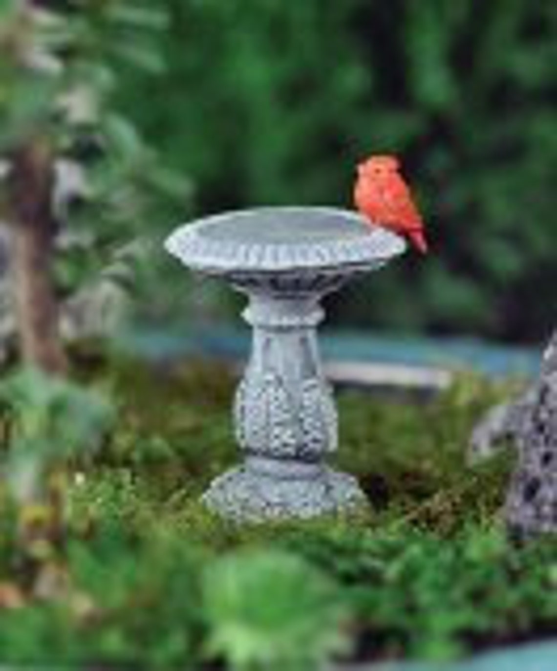 Miniature Cardinal Bird Bath for your Fairy Garden | Etsy