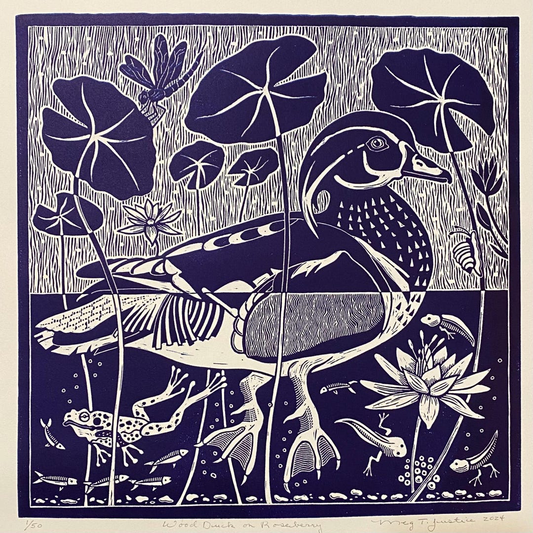 Woodduck Linocut in Blue, Duck Linocut, Bird Linocut,wild Waterbird Art ...