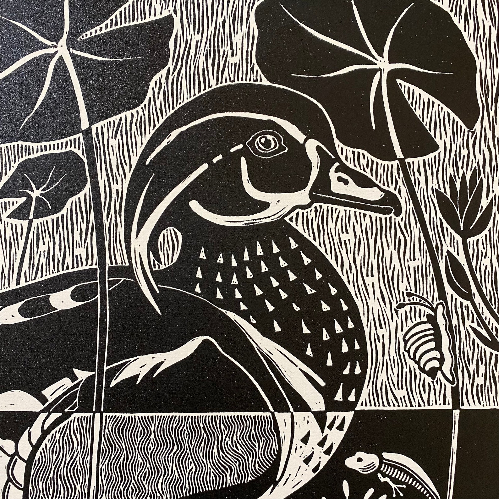 Woodduck Linocut in Black, Duck Linocut, Bird Linocut,wild Waterbird ...