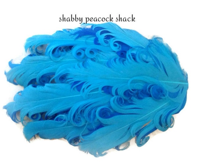 Blue Curly Nagorie Feather Pad, Goose Feather Pad for Headband, DIY ...