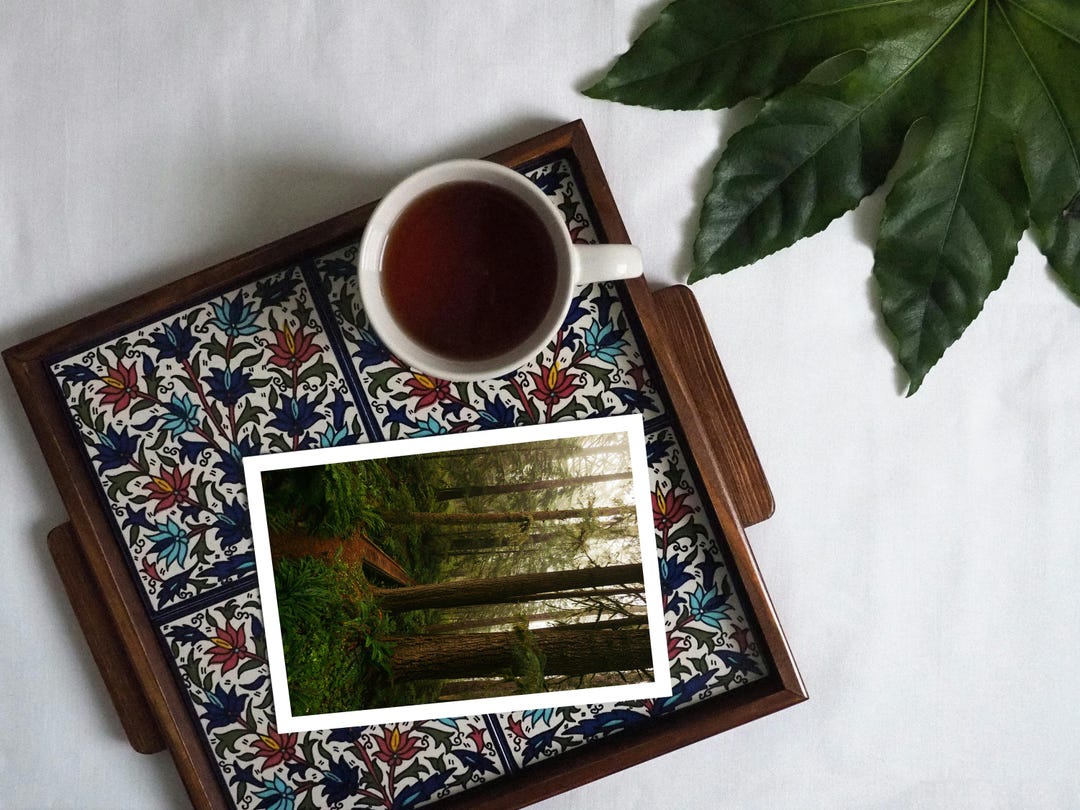 Rainforest Trail Blank Greeting Card, Cascade Head Stationery, Oregon ...