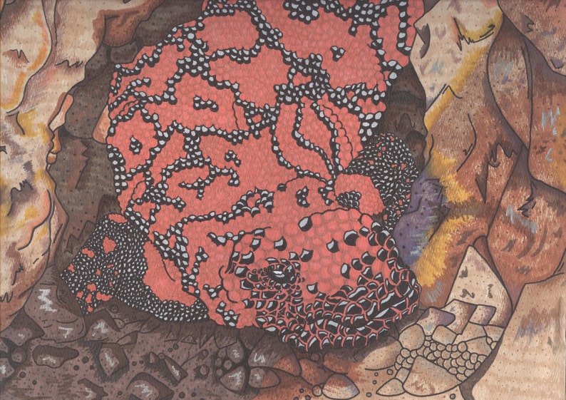 Gila Monster Print - Etsy