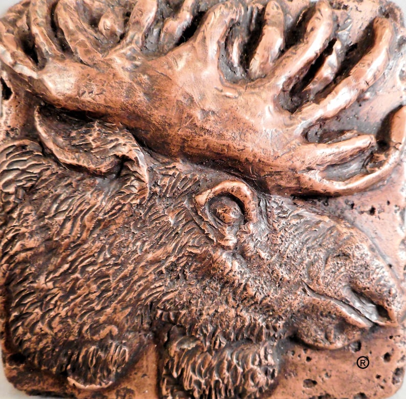 Copper Wildlife moose 4x4 Decorative Wall Tile - Etsy