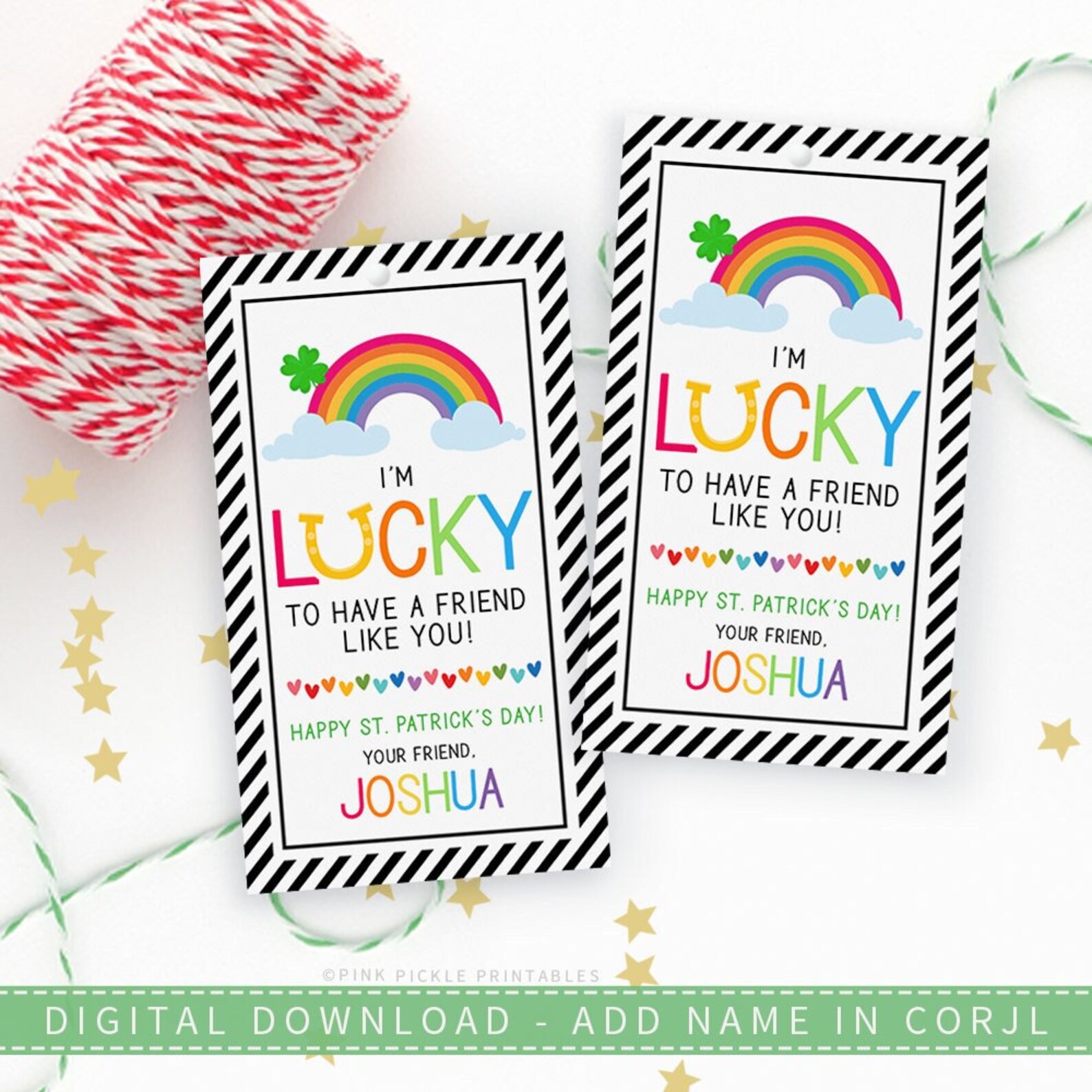 Editable St Patricks Day Tags, Leprechaun Bait Tag, Kids St Patricks ...