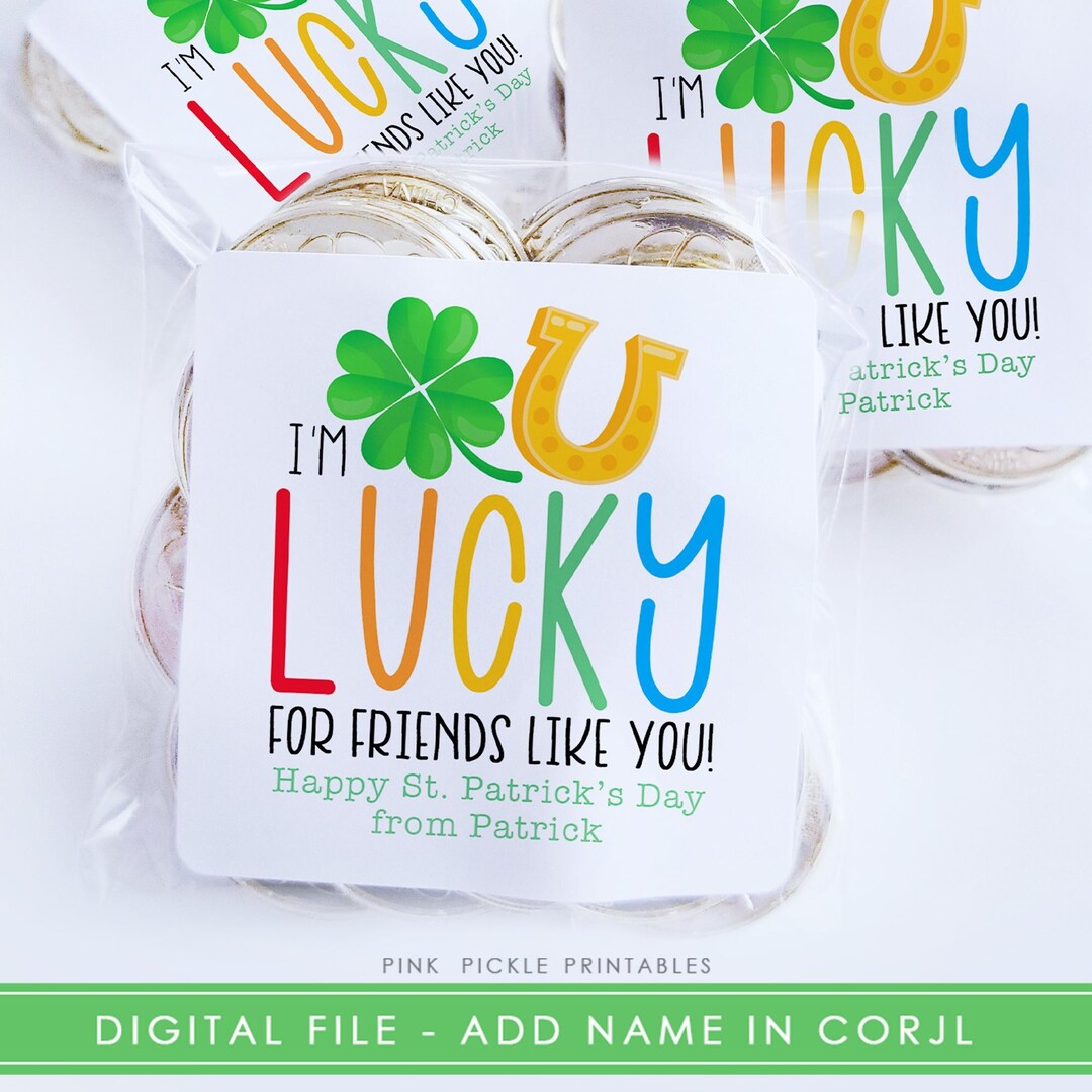 Editable St Patricks Day Tags, Leprechaun Bait Tag, Kids St Patricks ...