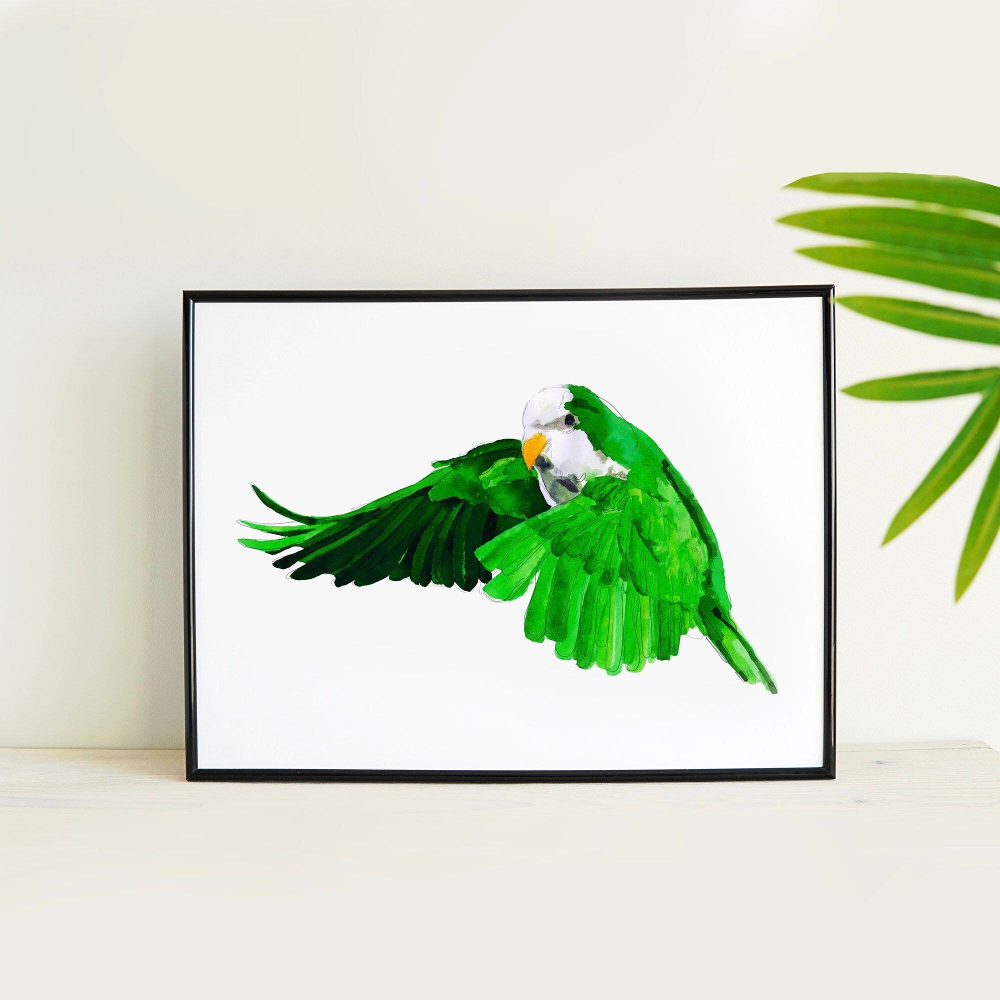 Green Parrot Bird Drawing