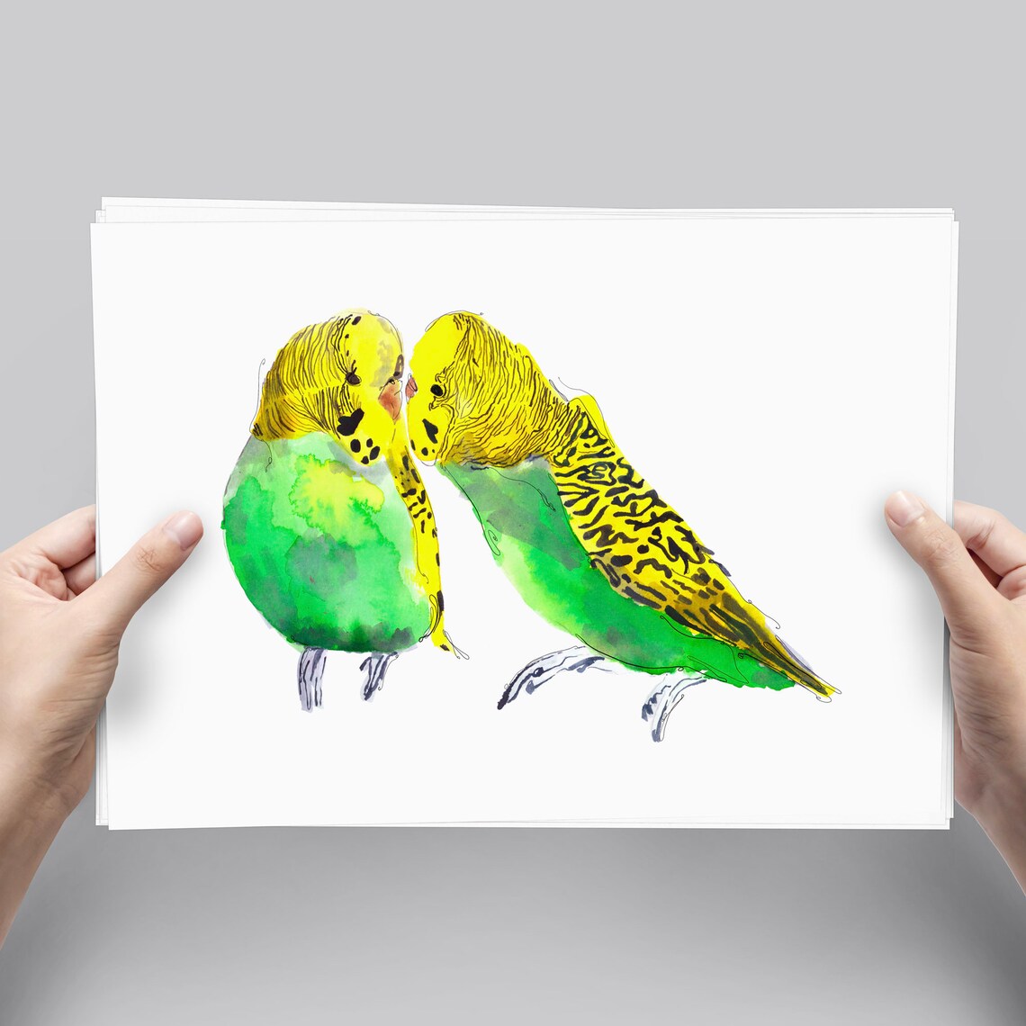 Green Parakeet Parrot Bird Watercolour Illustration Drawing - Etsy