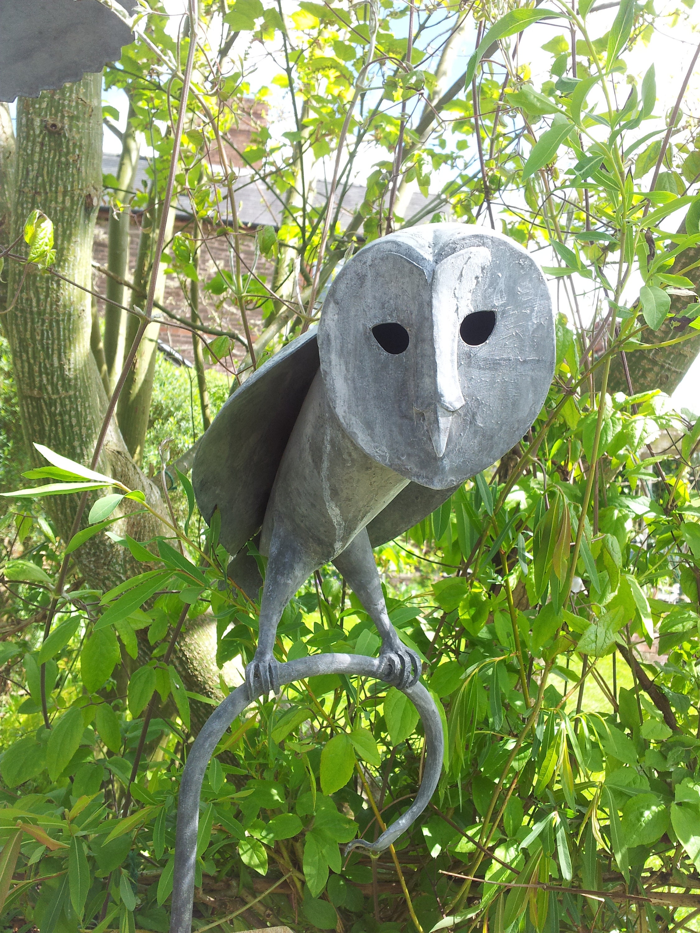 Barn Owl Stooped - Etsy