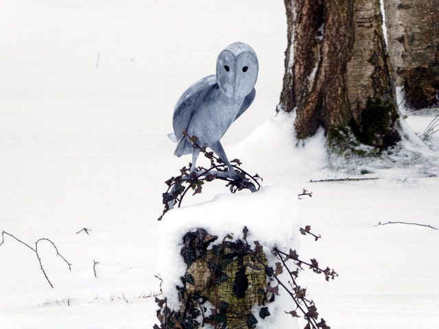 Barn Owl Stooped - Etsy