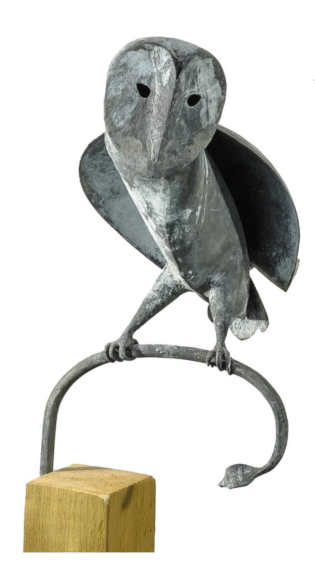 Barn Owl Stooped - Etsy