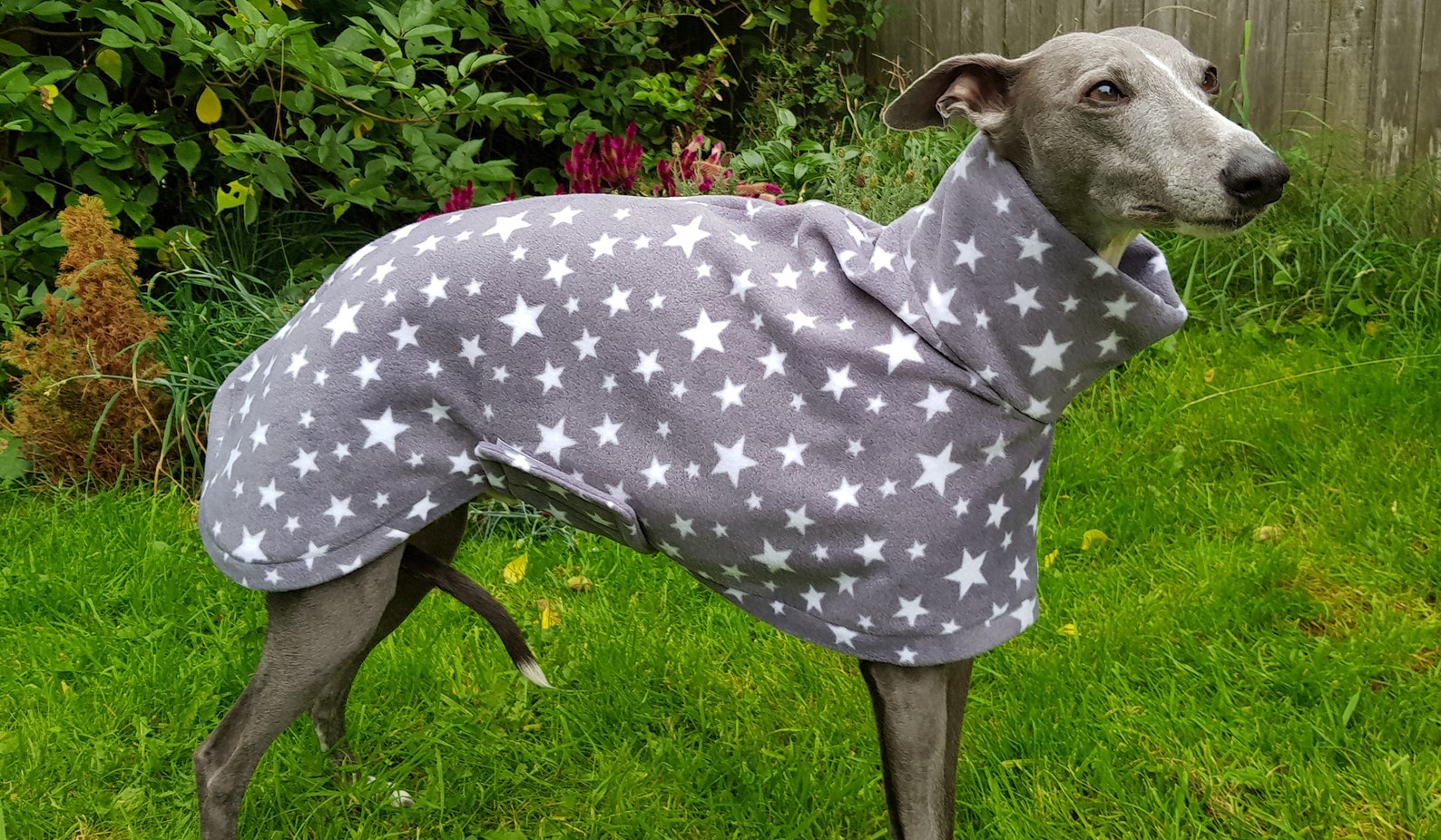 Stylish Fleece Coat Whippet Greyhound - Etsy UK