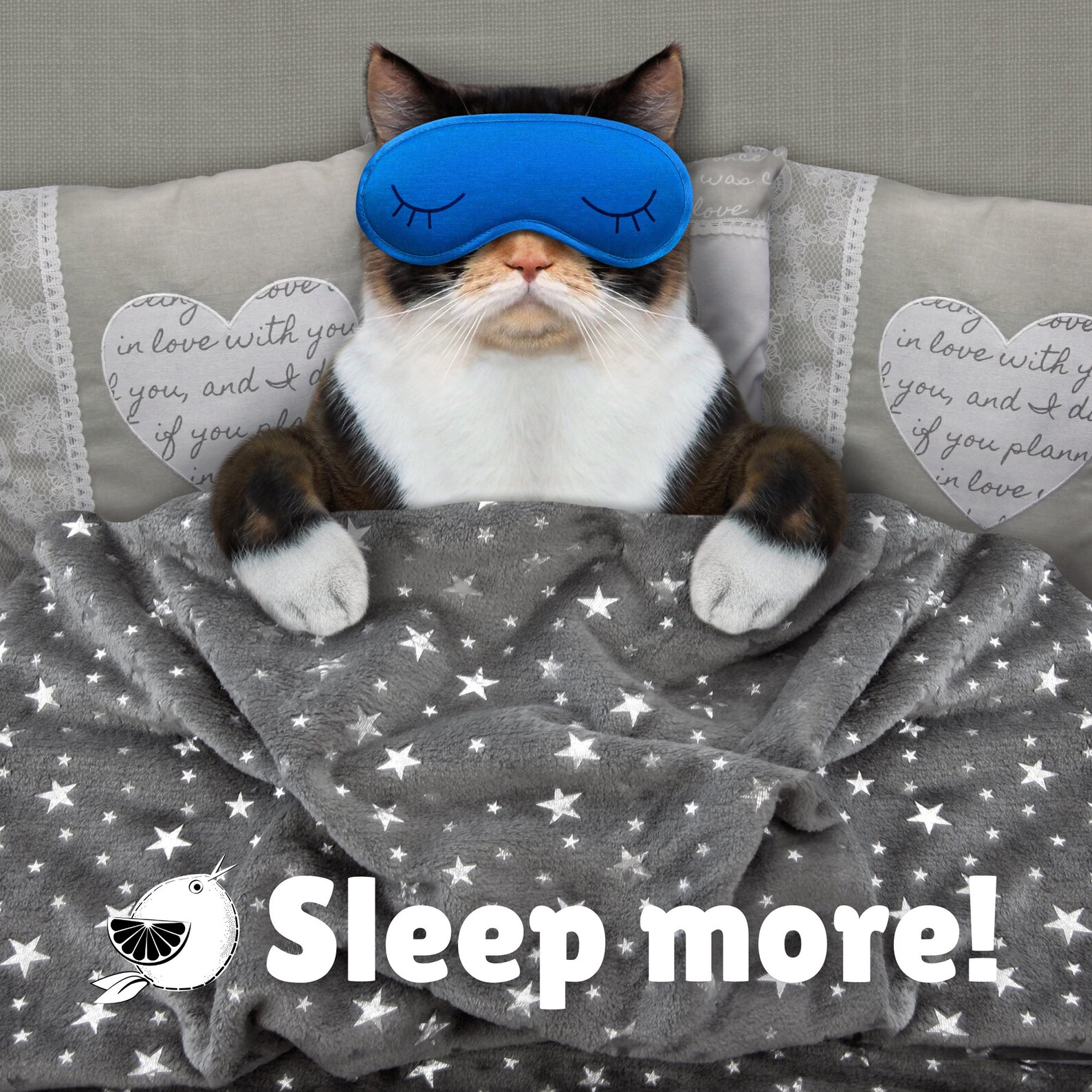 Llama Sleep Mask, Blindfold, Animal Lover, Sleep Accessory, Travel ...