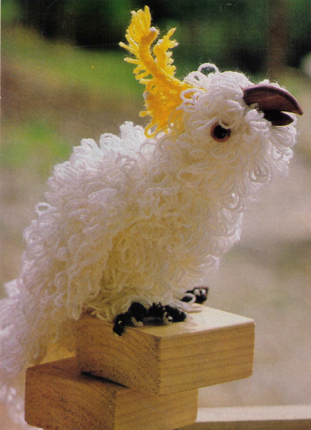 Vintage Australian Classic Aussie Cockatoo Parrot Bird Wildlife Animal ...