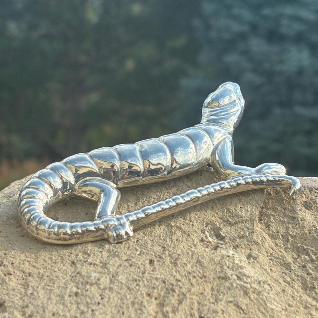 Vintage Large Mexico Sterling Silver Lizard Brooch / Pin - Etsy