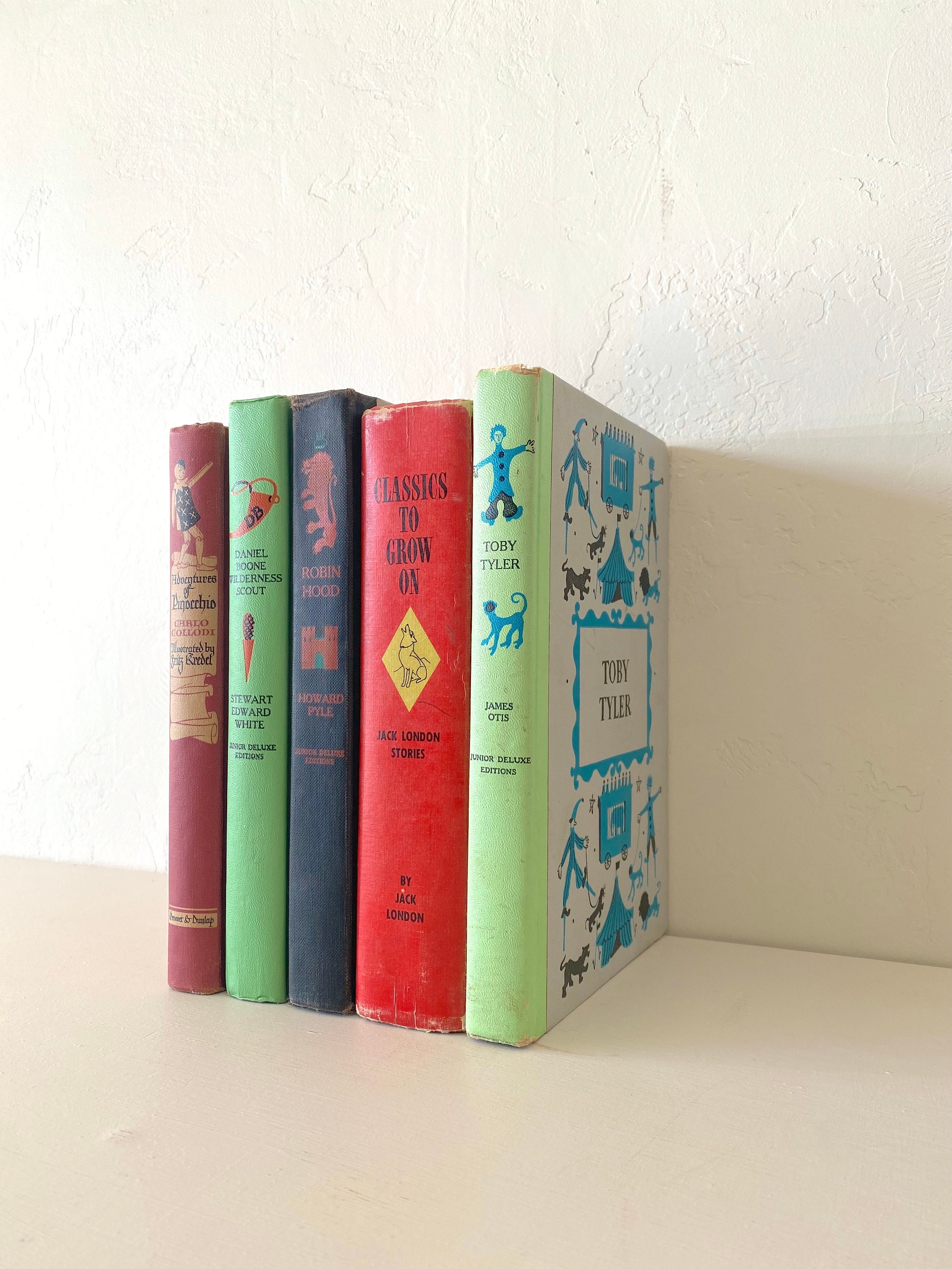 Retro 50s Vintage Book Set of 5 Illustrated Hardcover Books for ...