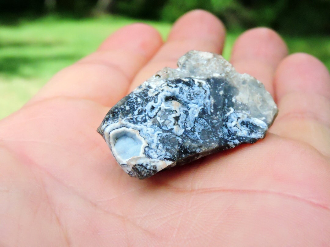 Agatized Coral From Florida, 1.2 Inch 30mm 12gm Crystal Chalcedony ...