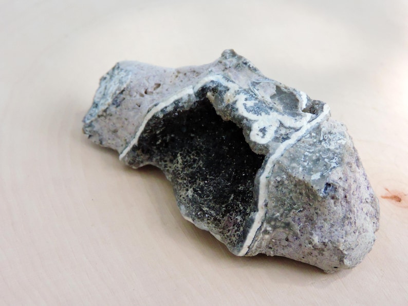 Agatized Fossil Coral With Druzy Quartz — Florida State Stone ...